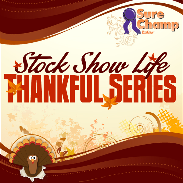 Thankful for the Stock Show Life - Sure Champ