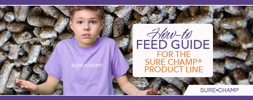 How to Feed the Sure Champ® Product Line for Winning Results - Sure Champ