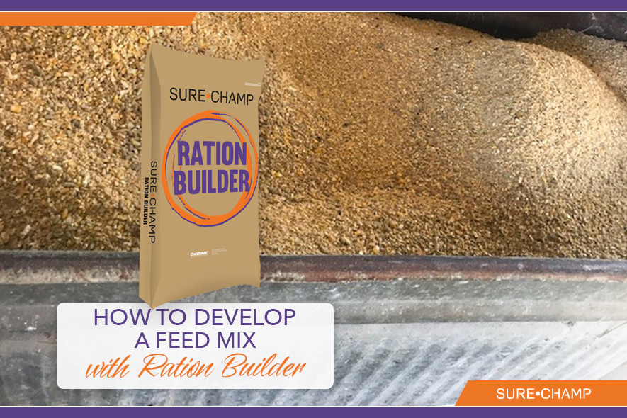 How to Develop a Feed Mix with Ration Builder - Sure Champ