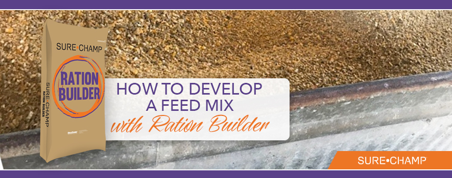 How to Develop a Feed Mix with Ration Builder - Sure Champ