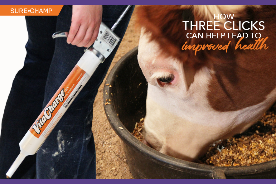 How Three Clicks Can Help Lead to Improved Health - Sure Champ