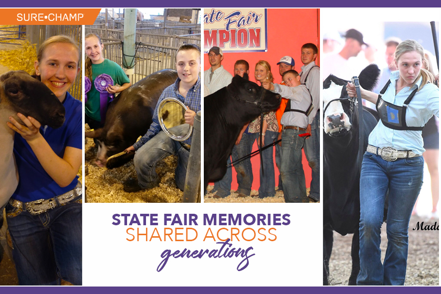 State Fair Memories Shared Across Generations - Sure Champ