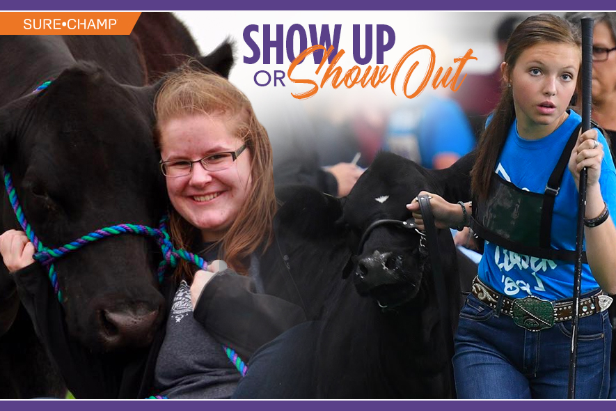 Show Up or Show Out - Sure Champ