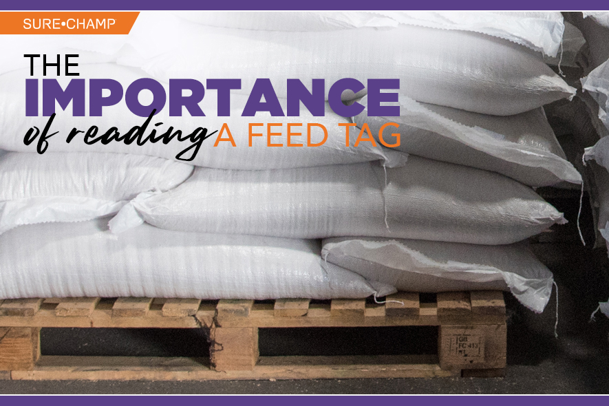 The Importance of Reading a Feed Tag - Sure Champ
