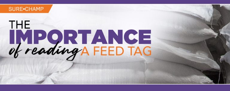 The Importance of Reading a Feed Tag - Sure Champ