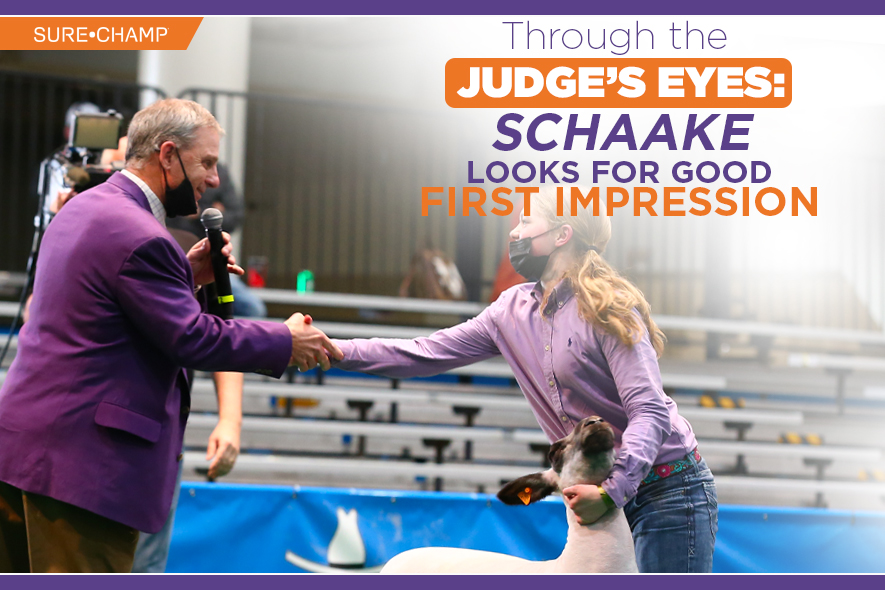 Through the Judge’s Eyes: Schaake Looks for Good First Impression ...