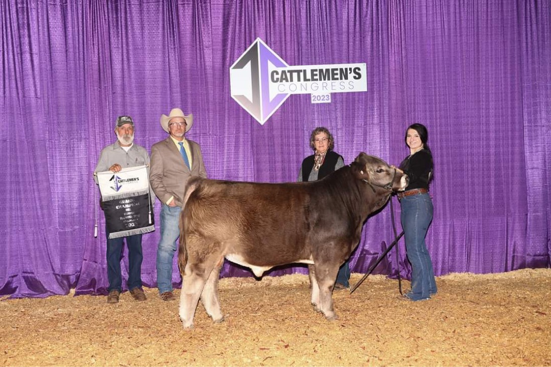 Jordyn Walker - Sure Champ