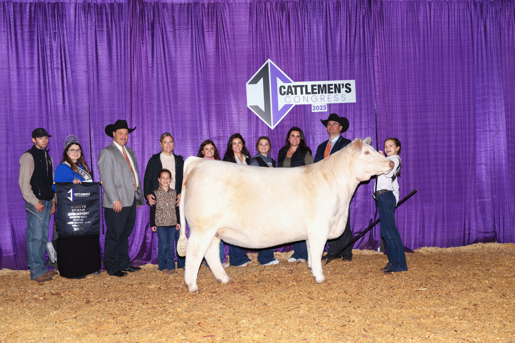 Madilyn Norvell - Sure Champ