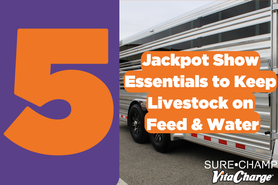 Five Jackpot Show Essentials to Keep Livestock on Feed and Water