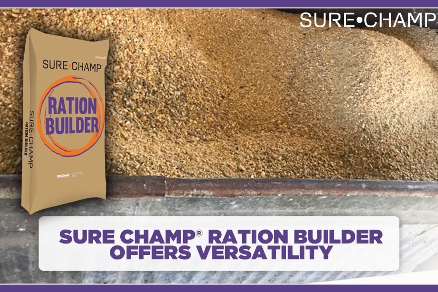 Sure Champ® Ration Builder Offers Versatility