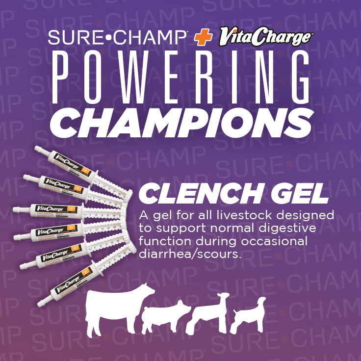 Vita Charge® Clench Gel Provides Livestock Digestion Support - Sure Champ