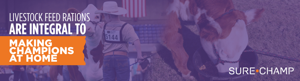 Livestock Feed Rations are Integral to Making Champions at Home - Sure ...