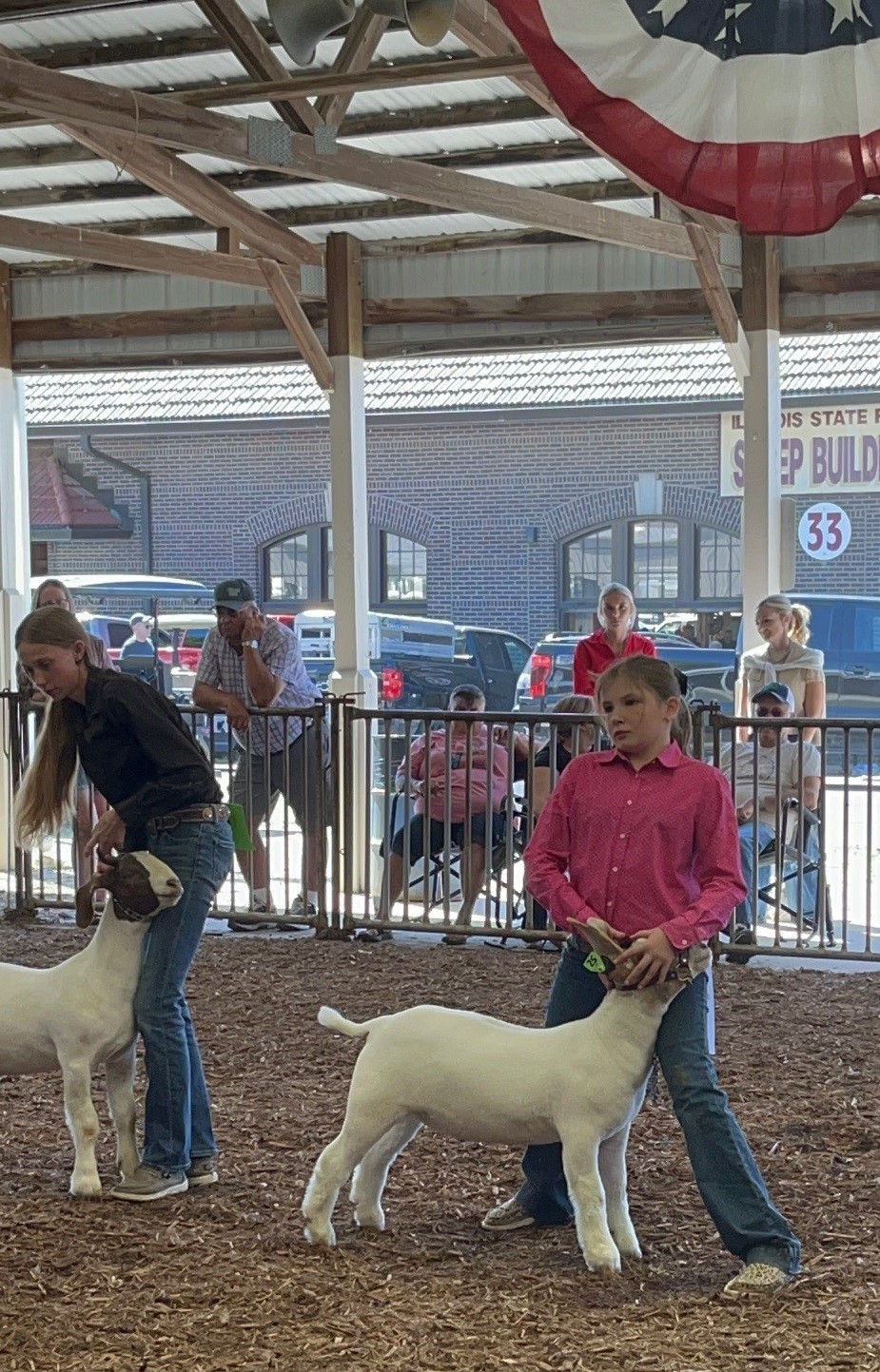 Showing Goats is a Fun, Competitive Youth Project - Sure Champ