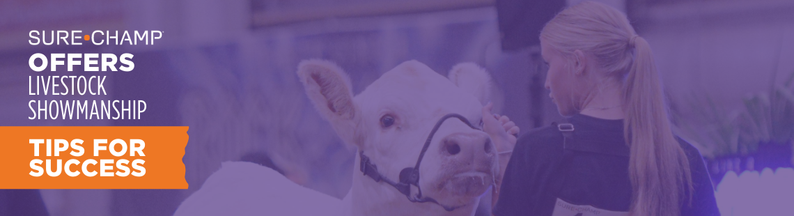 Sure Champ® Offers Livestock Showmanship Tips for Success - Sure Champ