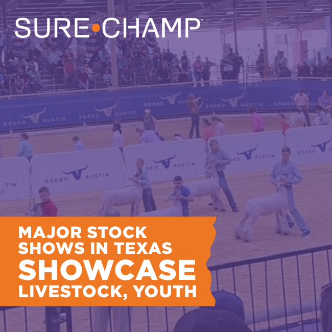 Major Stock Shows in Texas Showcase Livestock, Youth - Sure Champ