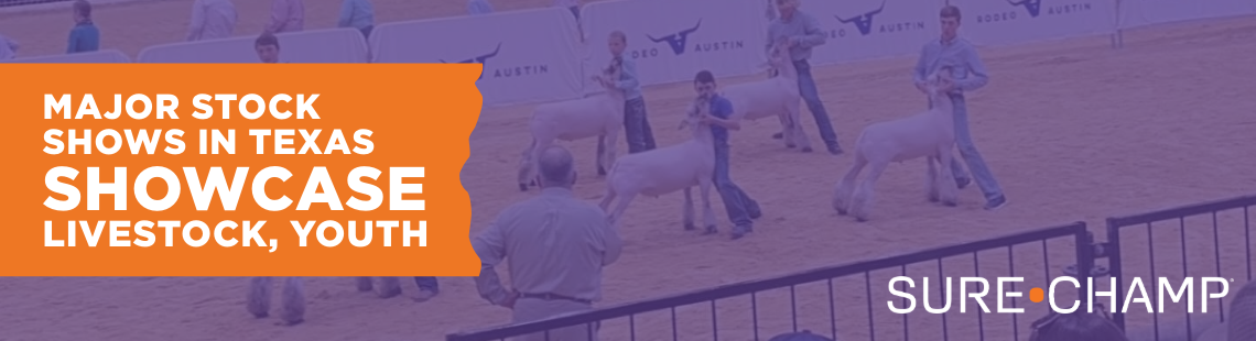 Major Stock Shows in Texas Showcase Livestock, Youth - Sure Champ