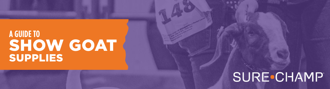 A Guide to Show Goat Supplies - Sure Champ